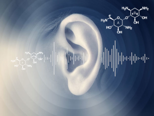 Ototoxicants – what are they and how may they worsen hearing loss in ...